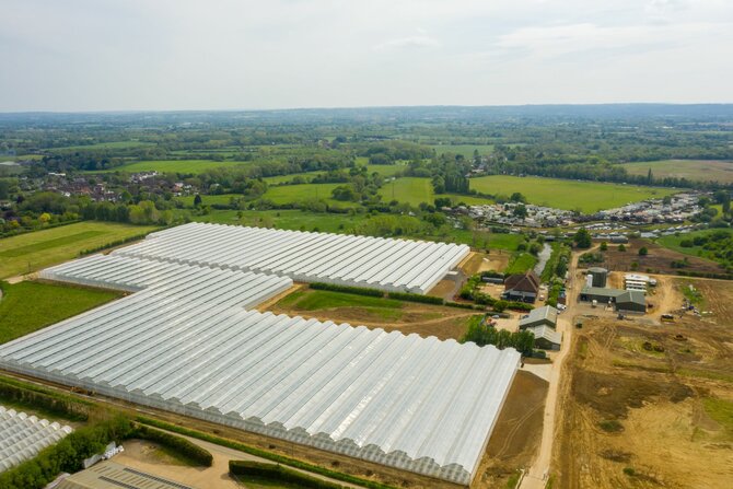 Bosman Van Zaal empowers Clock House Farm's raspberry success