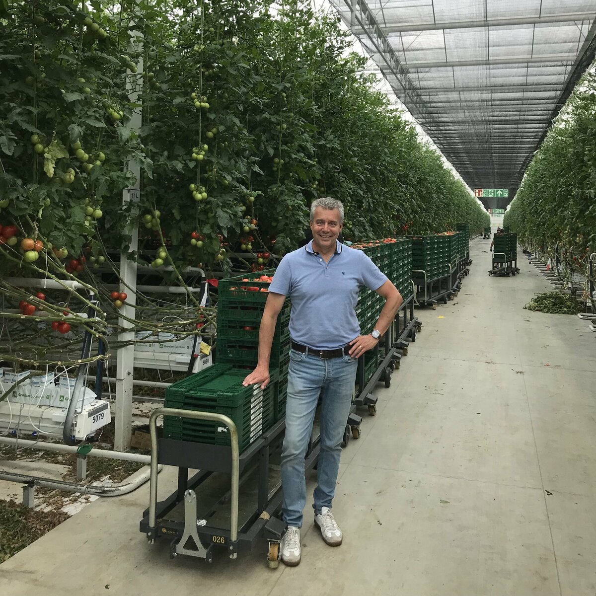 Completion of extensive installation for strawberry and tomato